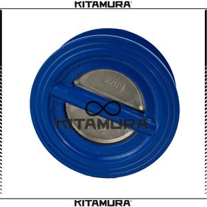 Jual 6" Wafer Check Valve Cast Iron CI Disc SS 304 PN16 6 Inch ...