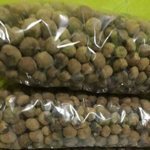 Jual Jt - 2024 1 Kg Bibit/Benih Pohon Jati Hybrit Solomon Super - Kab ...