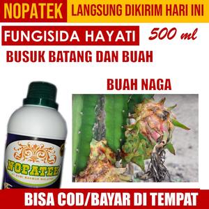 Jual Ready Pupuk Buah Naga Fungisida Obat Busuk Batang Dan Buah Buah ...