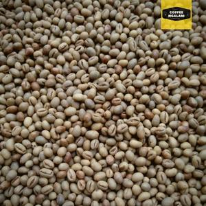 Jual jh_ Kopi Peaberry (Lanang) 1Kg - Robusta Java /Robusta Dampit ...
