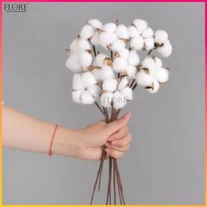 Jual Bunga Kapas / cotton Flowers / Bunga Kering / Rustic Flower ...