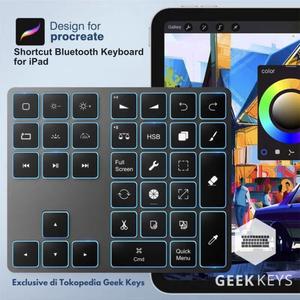 Jual Procreate Keyboard Shortcut Keyboard Pro Create Aluminium - Silver ...