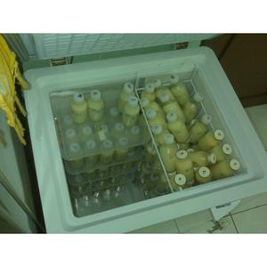 Jual Paket 3 Bulan Sewa Freezer ASI / ASIP - Ukuran 100 Liter ...