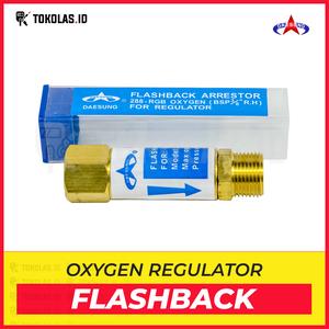 Jual Flash Back Flashback for Regulator Oxygen Acetylene LPG Daesung ...