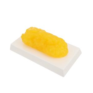 Jual Human Body Fat Replica Pound Fat Model Fat Anatomical Fat Model ...