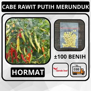 Jual ±100 Butir - Cabe Rit Merunduk HORMAT Bibit Tanaman Biji Garuda ...