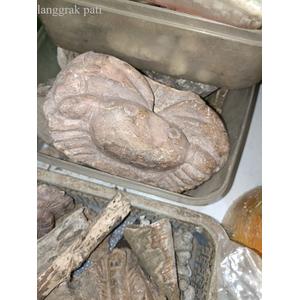 Jual fosil kepiting purba ori temuan di gunung kidul bk Keris sengkelat ...
