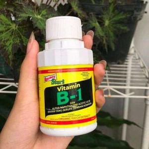 Jual SM- Vitamin B1 Tanaman, penumbuh akar obat anti stres 100 ML ...