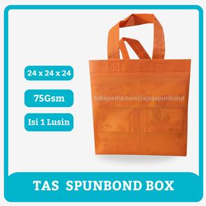 Jual Tas Box 24x24x24 Spunbond Handle / Lusinan / Warna ORANGE ...