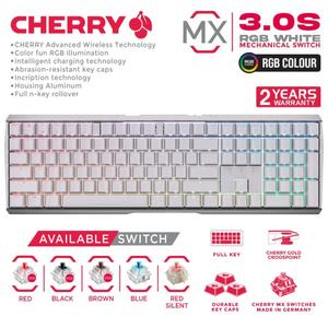 Jual Cherry MX Mechanical Gaming Keyboard White RGB Full Keys - MX 3.0S ...