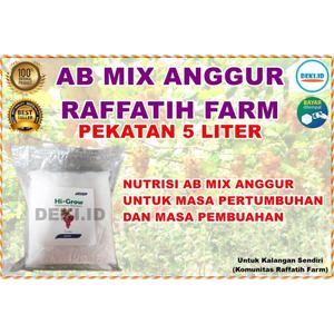 Jual Hi Grow Pupuk Anggur Buah Ab Mix Raffatih Pekatan 5 L Kemasan ...