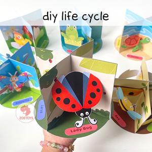 Jual shukaku DIY Life Cycle | Belajar Siklus Hidup Hewan | Art and ...