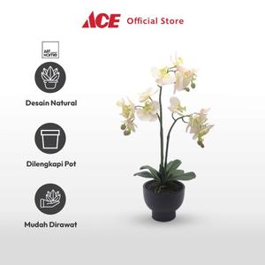 Promo Arthome Bunga Artifisial Orchid White 3 Stem Dengan Pot - Putih ...