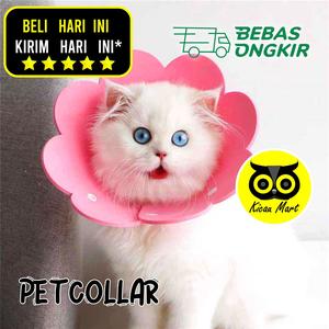 Jual Collar kucing pet colar corong leher kucing busa penutup kepala ...