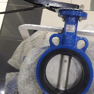 Jual BUTTERFLY VALVE 5 INCH CAST IRON HAWK VALVE D71X Best - Kota ...