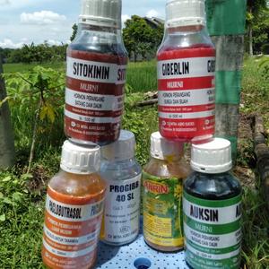 Jual NEW ZPT isi 500ml AUKSIN GIBERELIN SITOKININ ANRIN PACLOBLUTRASOL ...