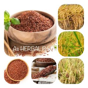 Jual Benih padi beras merah super unggul 1 kg - Jakarta Pusat - Healthy ...