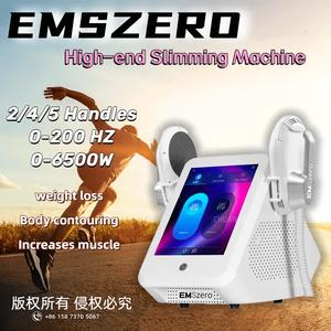 Jual Emszero 6500w Portable NEO Professional Electromagnetic ...