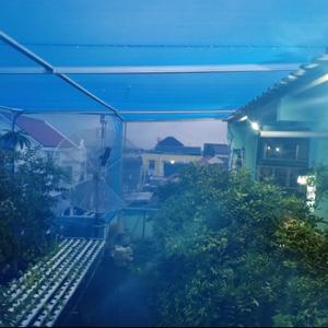 Jual TERBARU JARING PROYEK POLYNET BANGUNAN WARING BIRU P.100M X L.3M ...