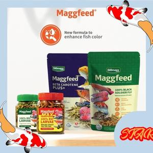 Jual MAGGFEED BIOMAGG MAGGOT MAGOOT 30 GR botol MAX KIDS bsf ulat ...