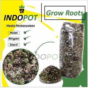 Jual PROMO Media Tanam Lumut Hidup Growt Root Untuk Pertumbuhan Akar ...