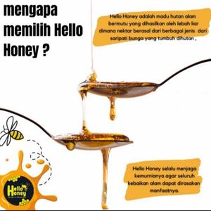 Jual READY MADU HELLO HONEY 1KG (MANIS) | MADU MURNI ASLI NATURAL RAW ...