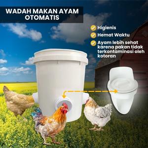 Jual Lubang Tempat Makan Ember Ayam Rain Proof Automatic Chicken Feeder ...