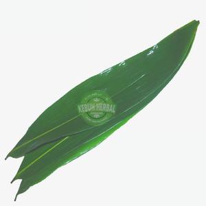 Jual Daun Bambu Segar Pilihan herbal dan bungkus bacang - Jakarta Timur ...