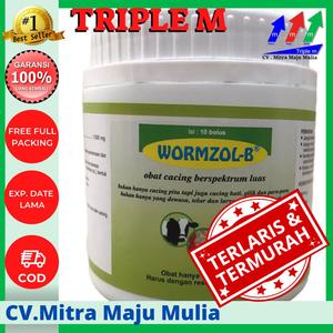 Jual WORMZOL B 10 BOLUS POT - Obat Cacing Cacingan Sapi Kerbau Kuda 3M ...