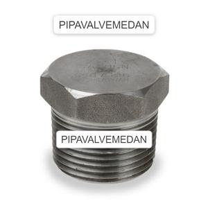 Jual Plug 1,5 Inch ; 1-1/2” class 3000 Besi / Hex Drat / tutup pipa ...