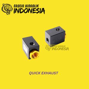 Jual QE 04 PNEUMATIC QUICK EXHAUST VALVE VENT VALVE AIR QUICK EXHAUST ...