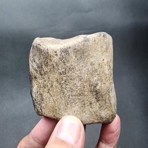 Jual RARE | Glacial Fossilized Mammal Bone Fragment Fossil Batu Fosil ...