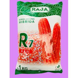 Jual Benih jagung hibrida tahan bulai R7 RED ULTIMATE GOLD UNION isi ...
