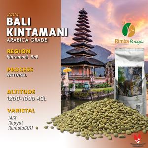 Jual New // Arabica Green Bean Bali Kintamani Natural Process 1Kg 100% ...