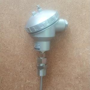 Jual RTD PT100 Temperature Sensor 1/2" NPT Panjang 6*100mm Range -200 ...