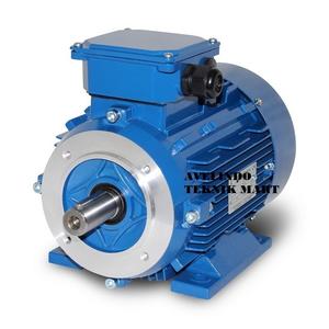 Jual merek AERO Electric Motor 3phase 380V 0.55Kw 4pole 1390Rpm 50Hz ...