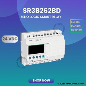 Jual Schneider SR3B262BD 24 V DC Zelio Logic Original SNI Best - Kota ...