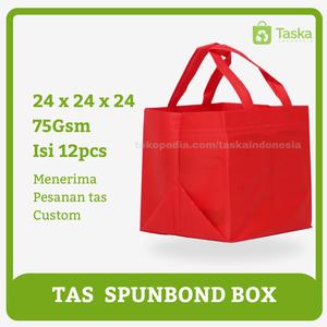 Jual Tas Box 24x24x24 Spunbond Handle - Banyak Warna - Satuan - Biru ...