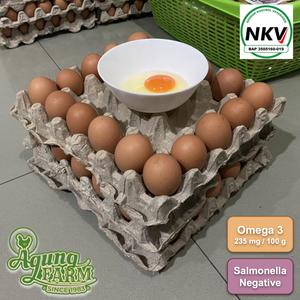 Jual Freshkirim- Telur Omega 3 Curah per 5 kg dari Kandang NKV ...
