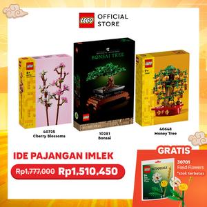 Promo LEGO Lunar New Year Bundle - LEGO LEL Seasons and Occasions 40648 ...