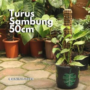 Jual PROMO AWAL TAHUN!!! Turus Lumut Sambung 50cm Moss Pole Tiang ...