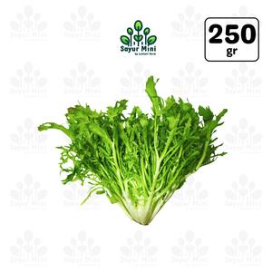 Jual Endive 250gr - Selada Endive / Frisee Lettuce - Salad Sayur - Sayur Fresh by Sayur Mini ...