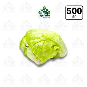Jual Head Lettuce 500gr - Selada Bulat / Iceberg Lettuce - Salad Sayur ...