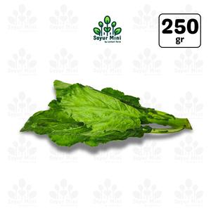 Jual Baby Kailan 250gr - Sawi Kailan / Curled Seeds - Sayur Fresh by ...