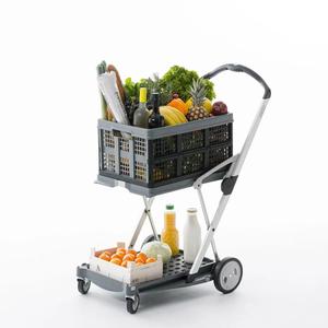 Jual 2-Layer Utility Carts Folding Cart Lightduty Grocery Trolley ...