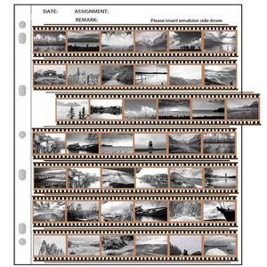 Jual 50Pcs Negative Film Storage Pages Punched Sheet Acid-free Film ...