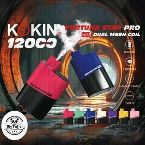Jual Vape Pods Sekali Pakai Kokin Fortune Star 12.000 Puffs Kokin ...