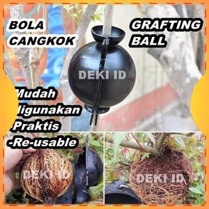 Jual Bola Cangkok Tanaman 5 8 12 Alat Propagasi Box Grafting Ball Hitam ...