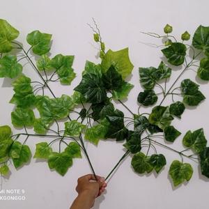 Promo Daun Anggur Tangkai Hijau Tua dan Muda Dekorasi Taman Rumah Cafe ...