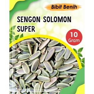 Jual Benih Sengon Solomon Asli 10 Gram / Bibit Benih Pohon Albasia ...